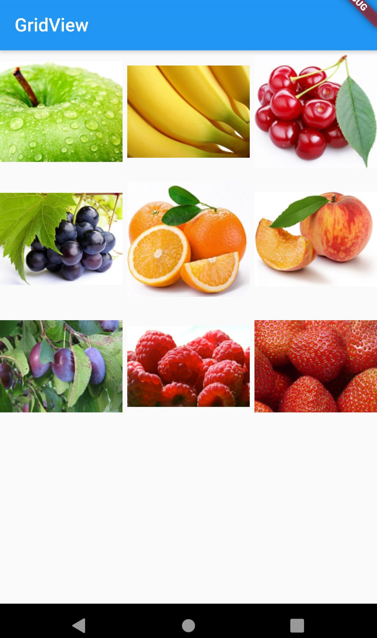 Gridview Example In Flutter Apps Developer Blog