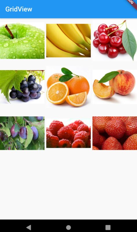 GridView Example In Flutter - Apps Developer Blog